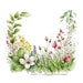 10 Watercolor Spring Border Clipart Jpgs,commercial Use,digital ...