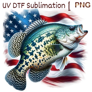 1 PNG, Crappie Png, Crappie Fish Png, Crappie Fishing Png, Png Fishing ...