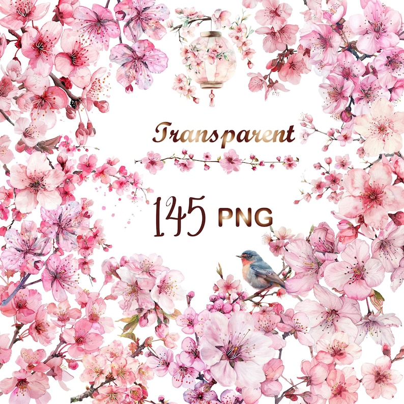 145 PNG, Watercolor Sakura Clipart Bundle, Spring Flowers Clipart ...