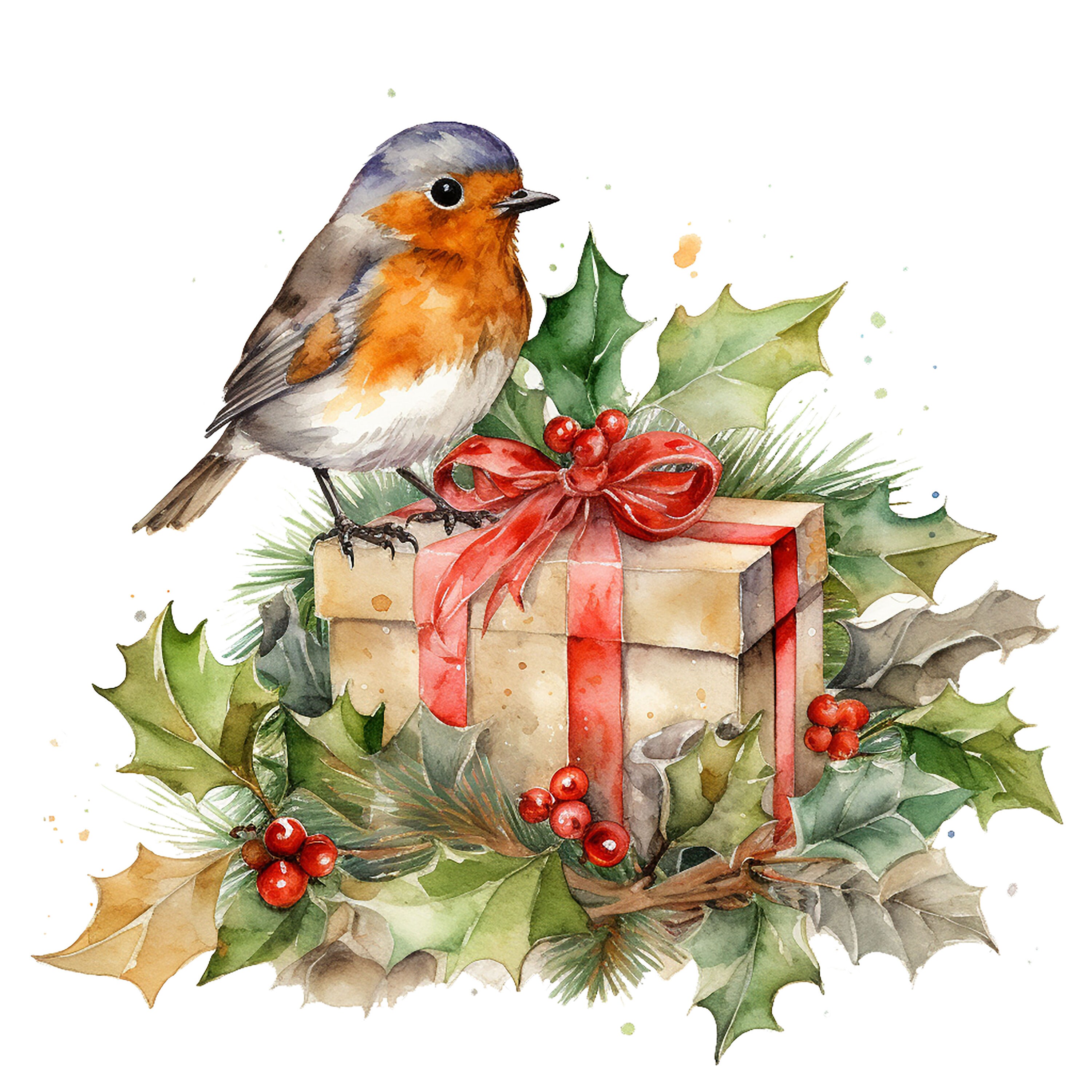 10 Robin Clipart Christmas Robin Clipart Red Robin Clipart - Etsy UK
