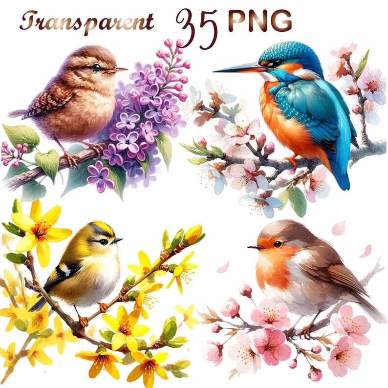 35 PNG, Floral Birds Clipart Bundle 1, Spring Birds Clipart, Blossom ...