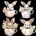 20 Bunny in a Cup Clipart, Png, Bunny Clipart, Rabbit in a Cup Clipart ...