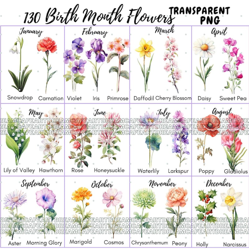 Birth Flowers Digital Set - Etsy