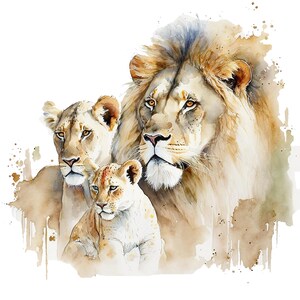 10 Watercolor Lion, Fullbody Lion, Relaxing Lion, Lion Family, Jpgs ...