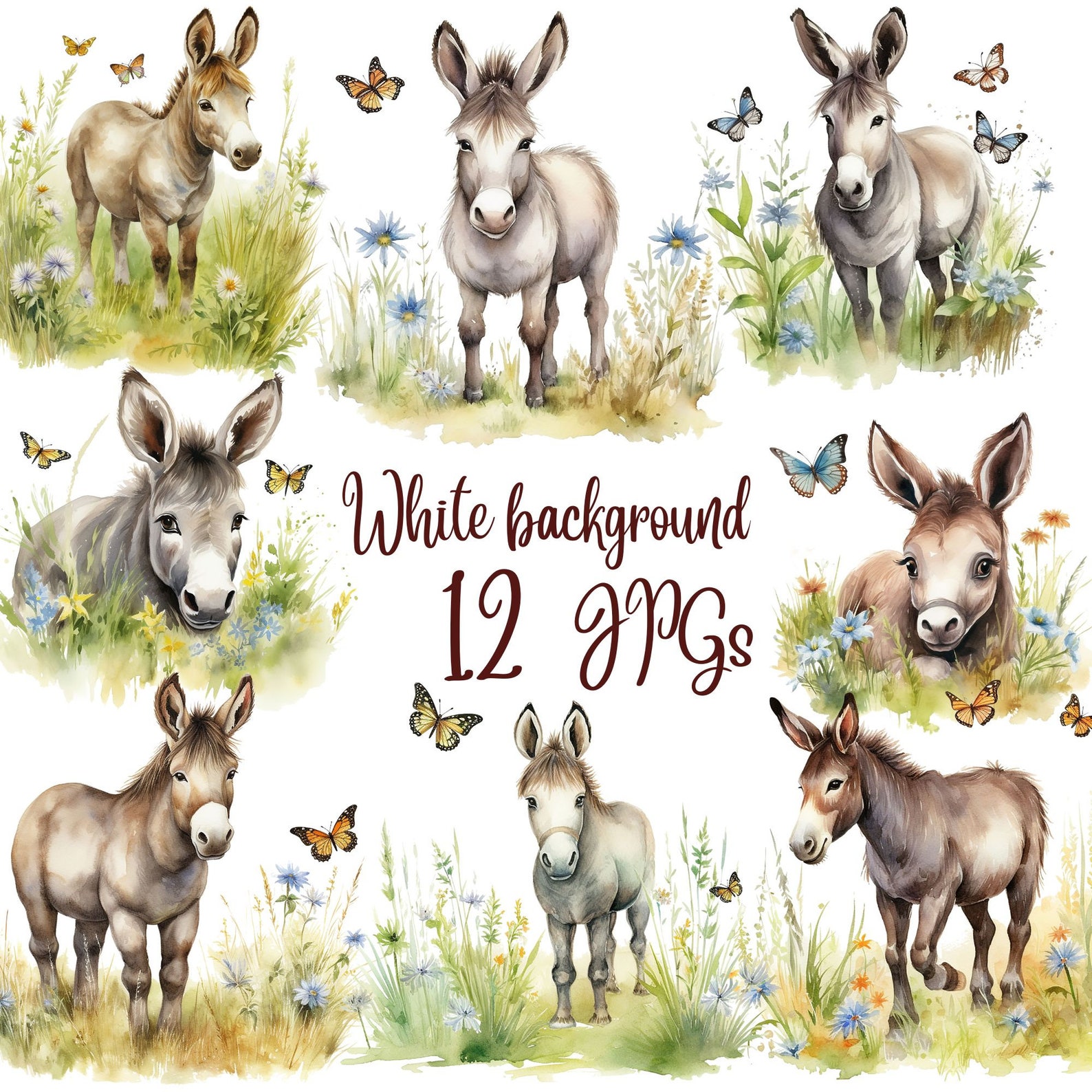 12 Happy Donkeys Clipart, Donkey Clipart, JPG, Commercial Use,digital ...