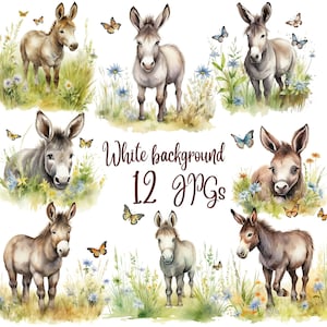 12 Happy Donkeys Clipart, Donkey Clipart, JPG, Commercial Use,digital Download, Card Making ...
