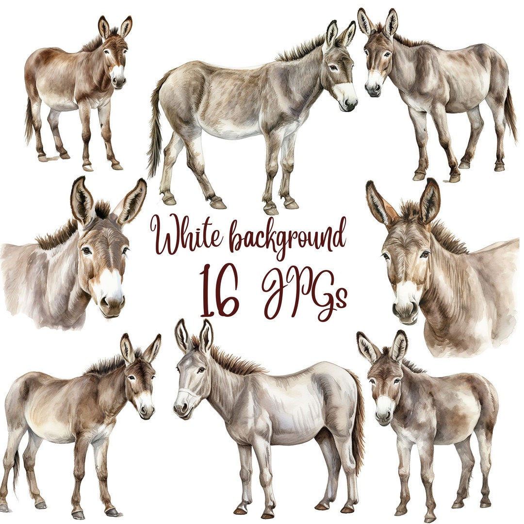 16 Happy Donkeys Clipart, Donkey Clipart, JPG, Commercial Use,digital Download, Card Making ...