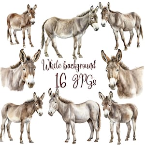 16 Happy Donkeys Clipart, Donkey Clipart, JPG, Commercial Use,digital Download, Card Making ...