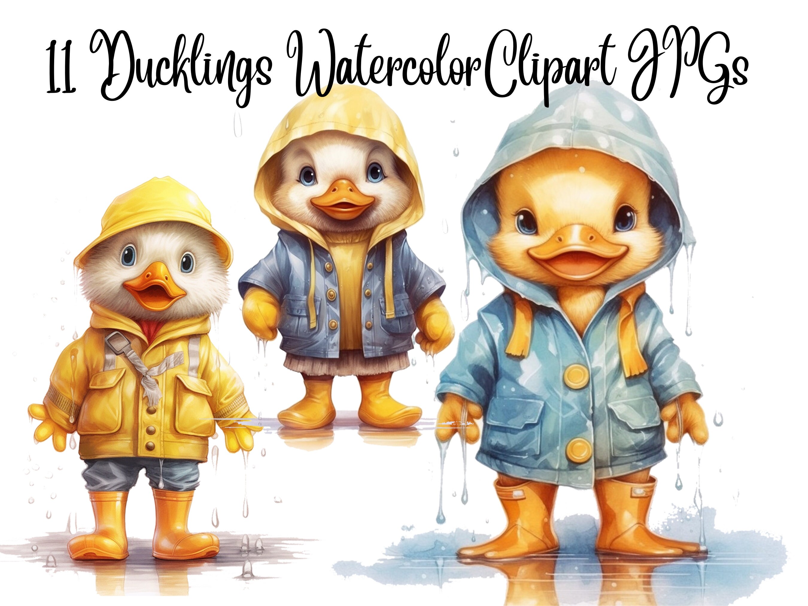 Duck And Ducklings Clipart