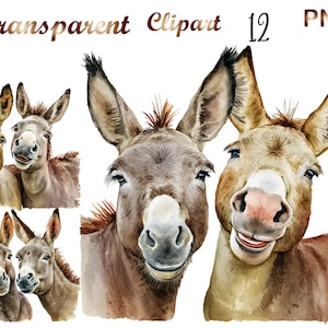 12 Watercolor Happy Donkeys Clipart PNG, Donkey Clipart PNG, Donkeys PNG, Watercolor Donkeys ...