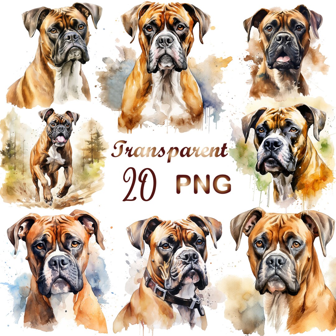 20 Watercolor Boxer Dog Clipart PNG, Miniature Dog Clipart, Boxer Dog ...
