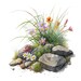 10 Wildflowers and Stones Clipart, Floral Clipart, Jpgs, Commercial Use ...