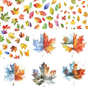 160 JPG, Watercolor Autumn Clipart Bundle, Autumn Leaves Clipart,autumn ...