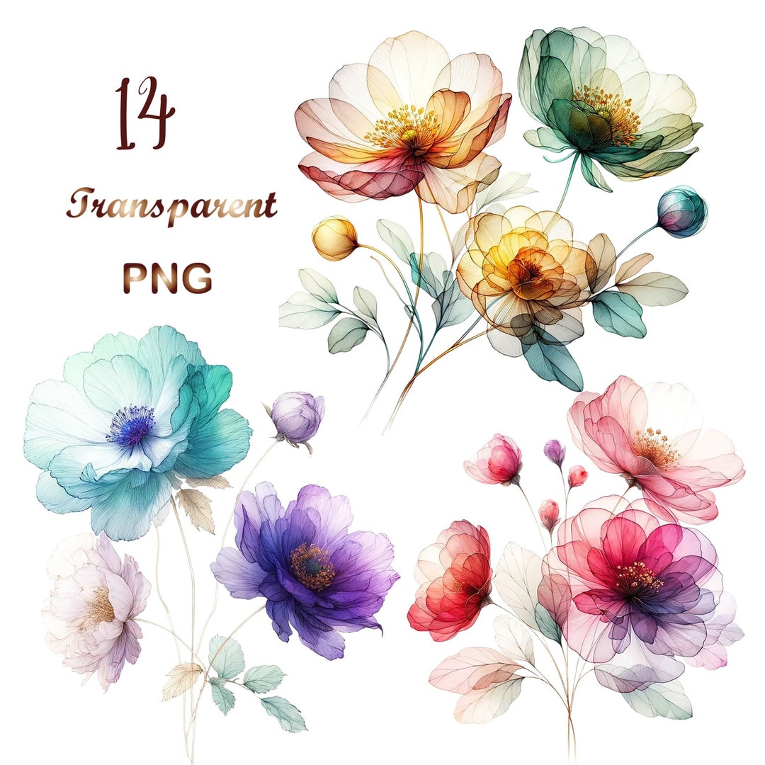 14 PNG, Various Flowers Clipart, Wildflowers Clipart, Boho Flowers ...