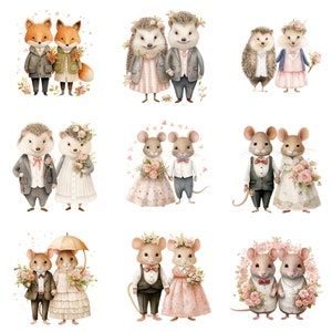 35 Watercolor Cute Forest Animal Clipart PNG, Transparent Png ...