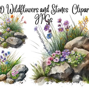 10 Wildflowers and Stones Clipart, Floral Clipart, Jpgs, Commercial Use ...