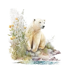 13 Watercolor Polar Bear Clipart, Jpgs, Commercial Use, Digital ...