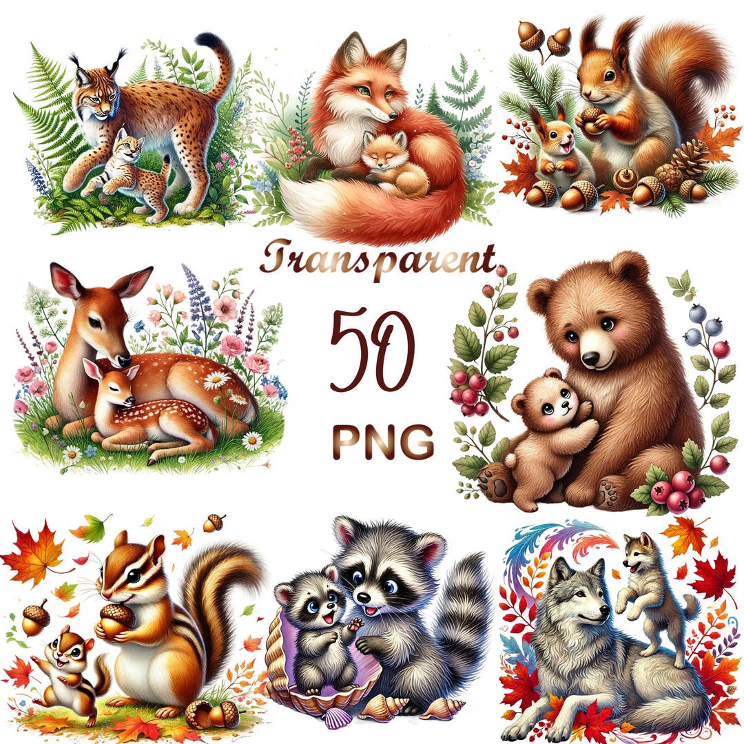 50 PNG, Woodland Clipart Bundle, Cute Forest Animals,forest Animals ...