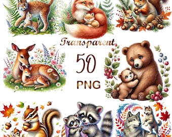 Woodland Animals Clipart Bundle – Whimsical Forest PNG Images (digital ...