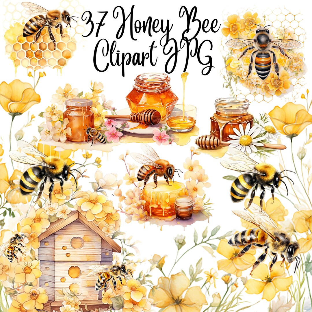 37 Honey Bee Clipart, JPG, Bumble Bee Honey, Comb Bee Clipart, Instant ...