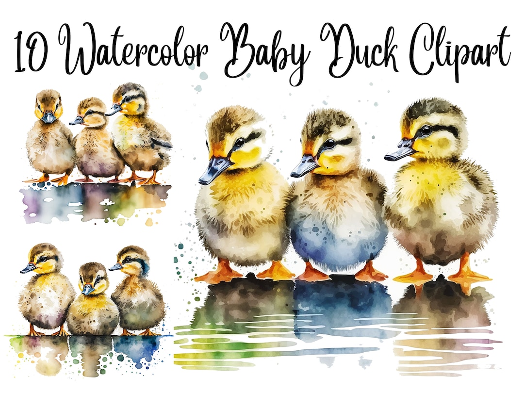 10 Ducklings Clipart Baby Duck Clipart Duckling Animal - Etsy