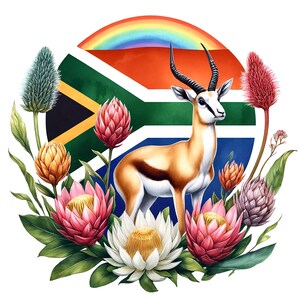 Watercolor African Springbok Clipart Bundle, 15 PNG/JPG South Africa ...