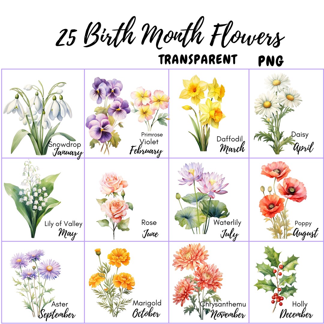 25 Birth Month Flowers Clipart, PNG, Set Watercolor, Watercolor Floral ...