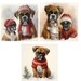 19 Watercolor Christmas Boxer PNG, Digital Clipart PNG, Portrait Boxer ...