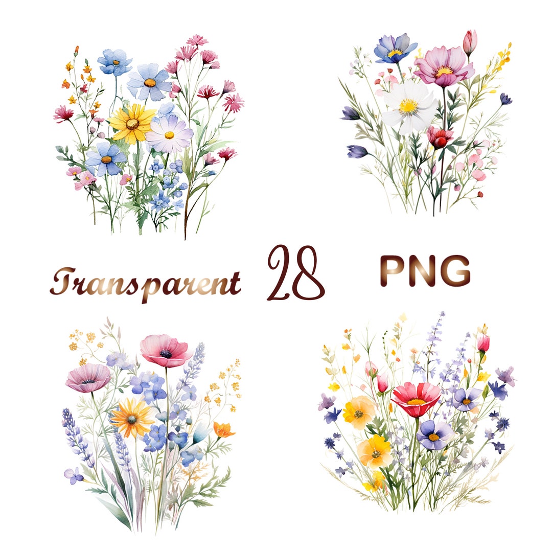 28 Wildflower Meadow Clipart Png,summer Floral Nature Images,wild ...