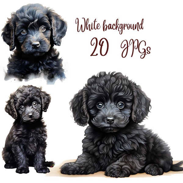 Cartoon Black Poodle - Etsy