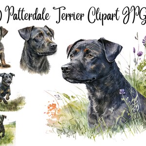 10 Patterdale Terrier Clipart High Quality Jpgs Commercial - Etsy UK