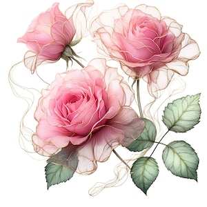 12 Jpgs, Abstract Pink Roses Clipart Bundle, Dried Flowers, Printable ...