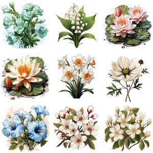 65 Birth Month Flowers Clipart, PNG, Set Watercolor, Watercolor Floral ...