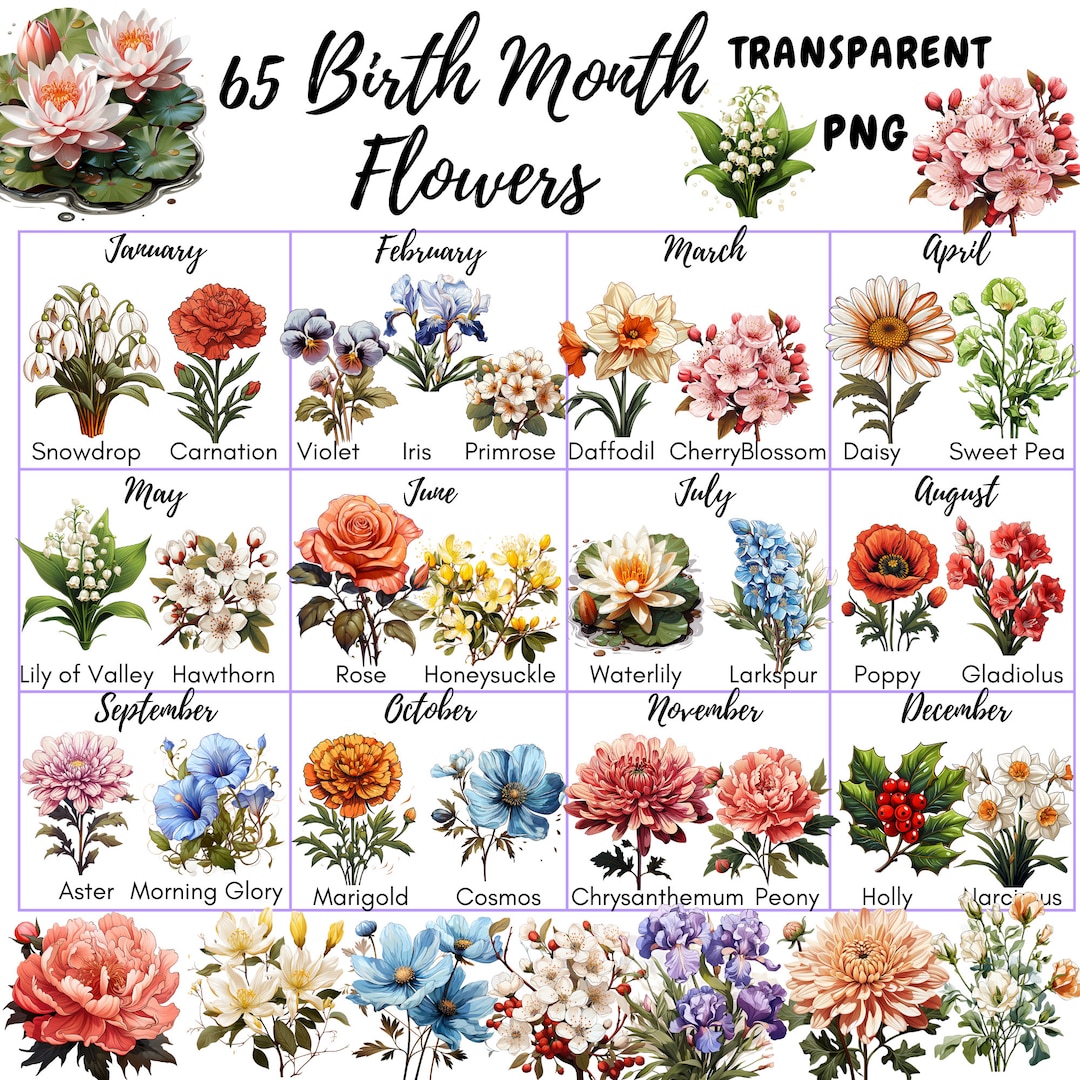 65 Birth Month Flowers Clipart, PNG, Set Watercolor, Watercolor Floral ...