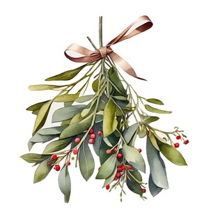 10 Mistletoe Clipart, Christmas Clipart, Jpgs, Commercial Use, Digital ...