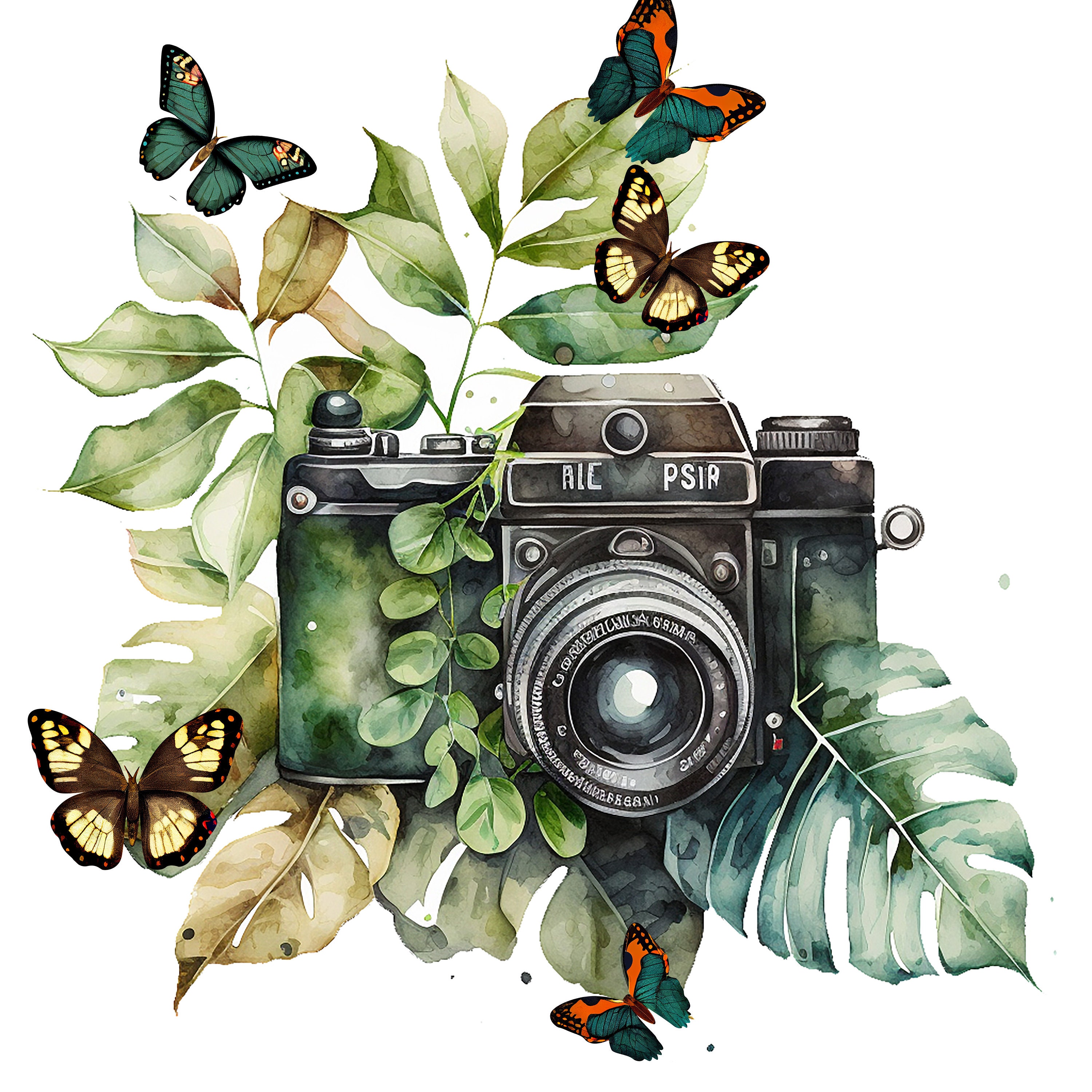 10 Watercolor Camera Clipart Camera Clipart Camera Clip Art - Etsy UK