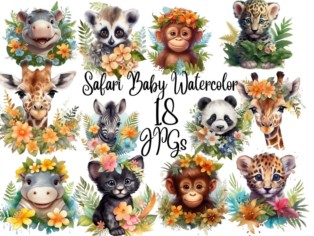 18 Safari Baby Animals Watercolor Clipart, Jpgs, Digital Crafting ...
