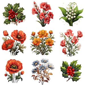 65 Birth Month Flowers Clipart, PNG, Set Watercolor, Watercolor Floral ...