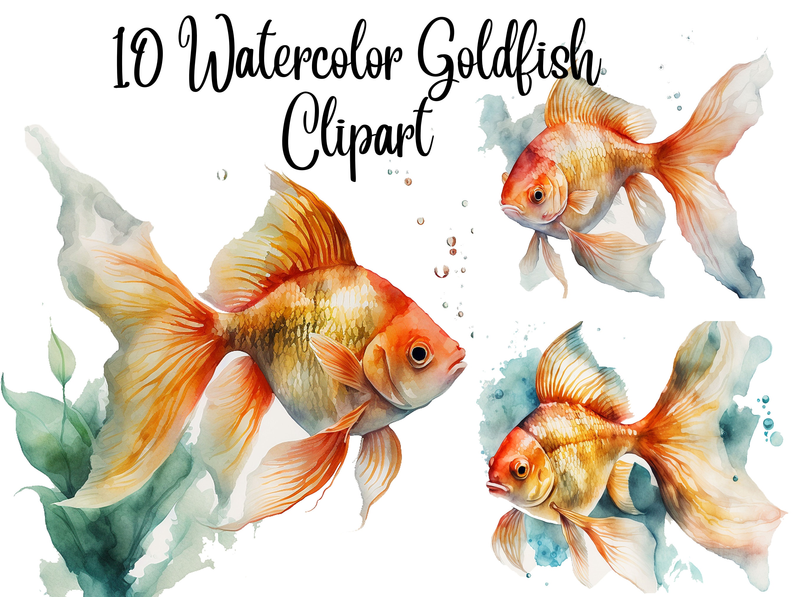 Goldfish Food Clipart Free