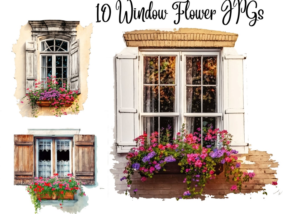 10 Window Flower Box Clipart, Floral Clipart, Window Box Clipart, Window Box Planter, Jpgs ...