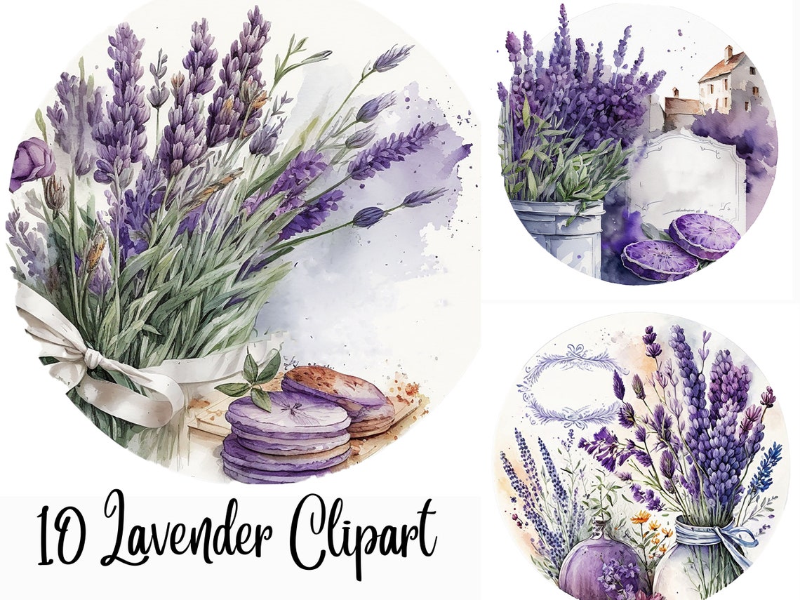47 Lavender Clipart, Bundle, Watercolor Lavender, Watercolor Clipart ...