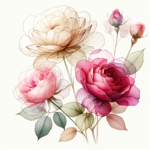 22 Jpgs, Abstract Roses Clipart Bundle, Dried Flowers, Printable ...