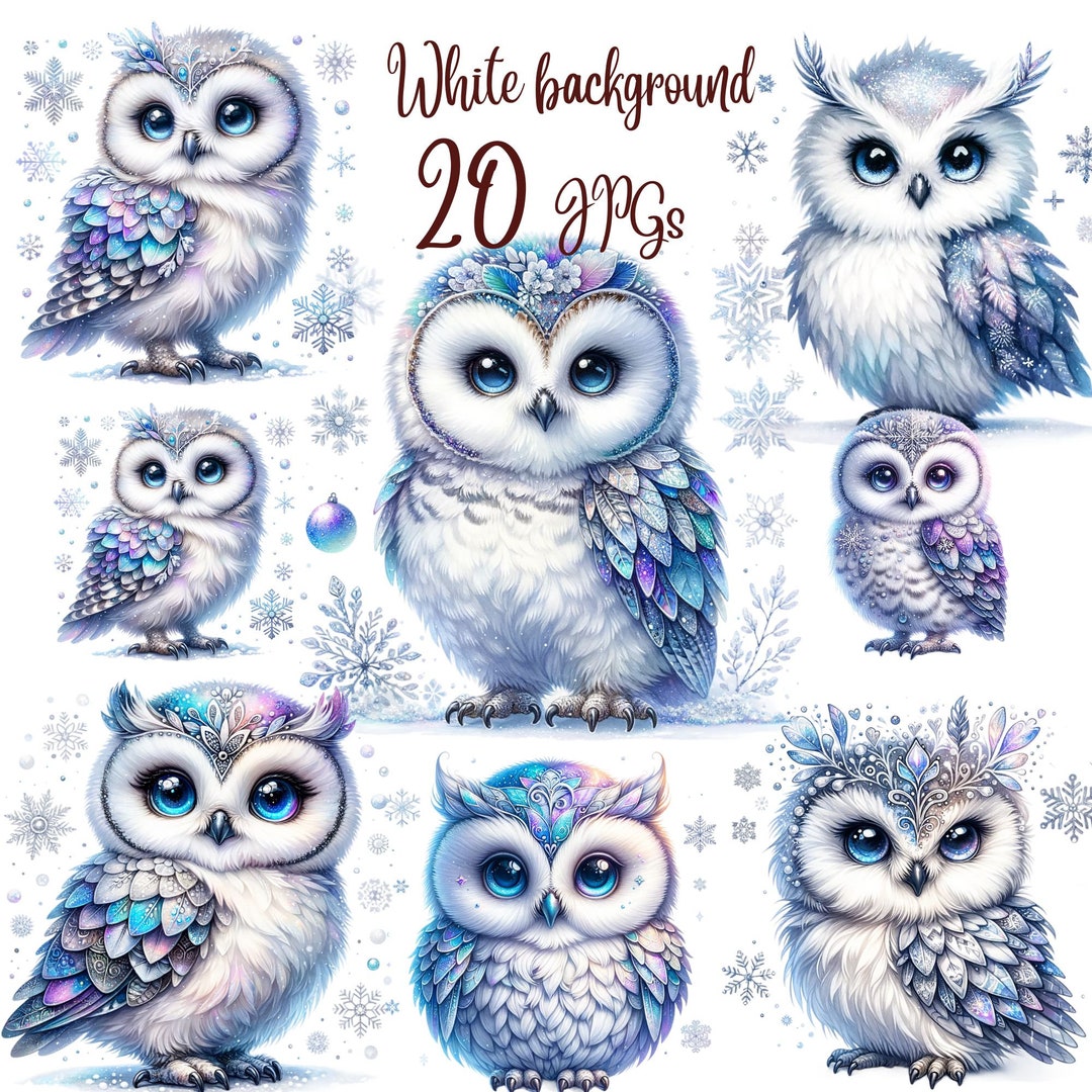 20 Jpgs, Winter Owl Clipart Bundle, Cute Owl Clipart, Colorful Owls ...