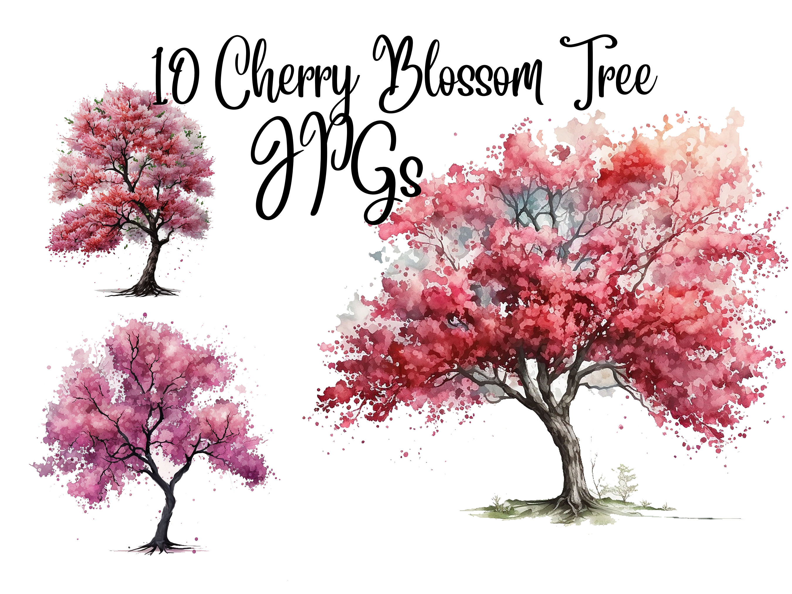 Cherry Blossom Tree Clip Art