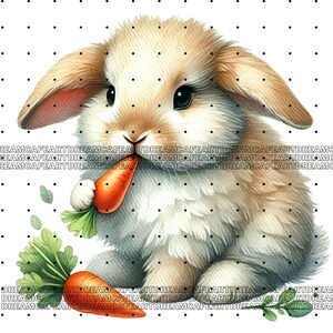 35 PNG Rabbit Set 2 Clipart Bundle, Bunnies Illustrations Graphics ...