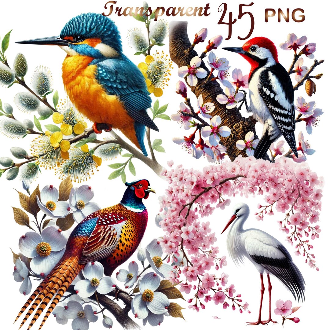 Floral Birds Clipart Bundle: Spring Blossom Birds 45 PNG Graphics ...