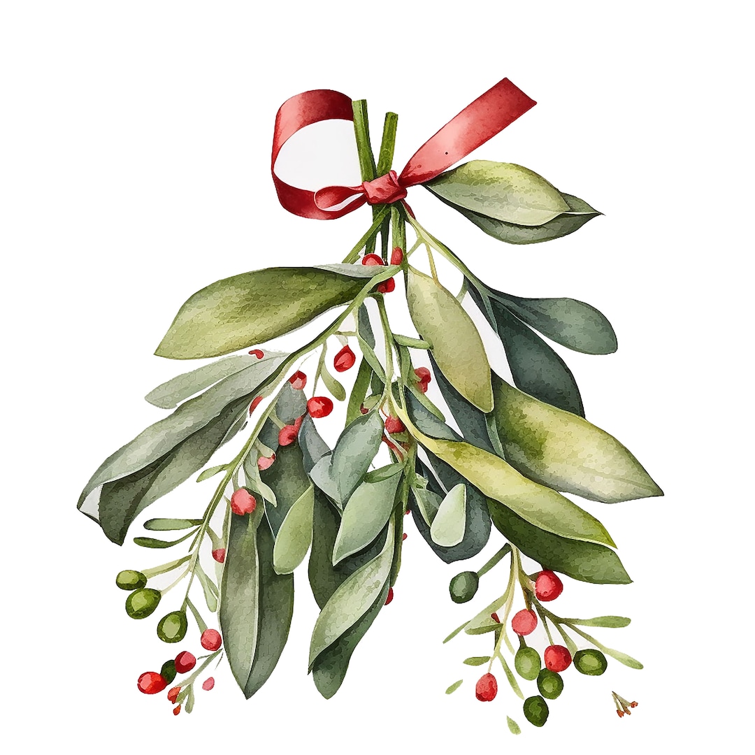 10 Mistletoe Clipart, Christmas Clipart, Jpgs, Commercial Use, Digital ...