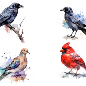 40 Watercolor Bird Clipart Png, Woodcock Bird Png, Goldfinch Bird ...