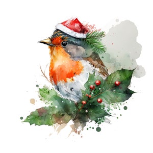 10 Robin Clipart, Christmas Robin Clipart, Red Robin Clipart, Robin ...