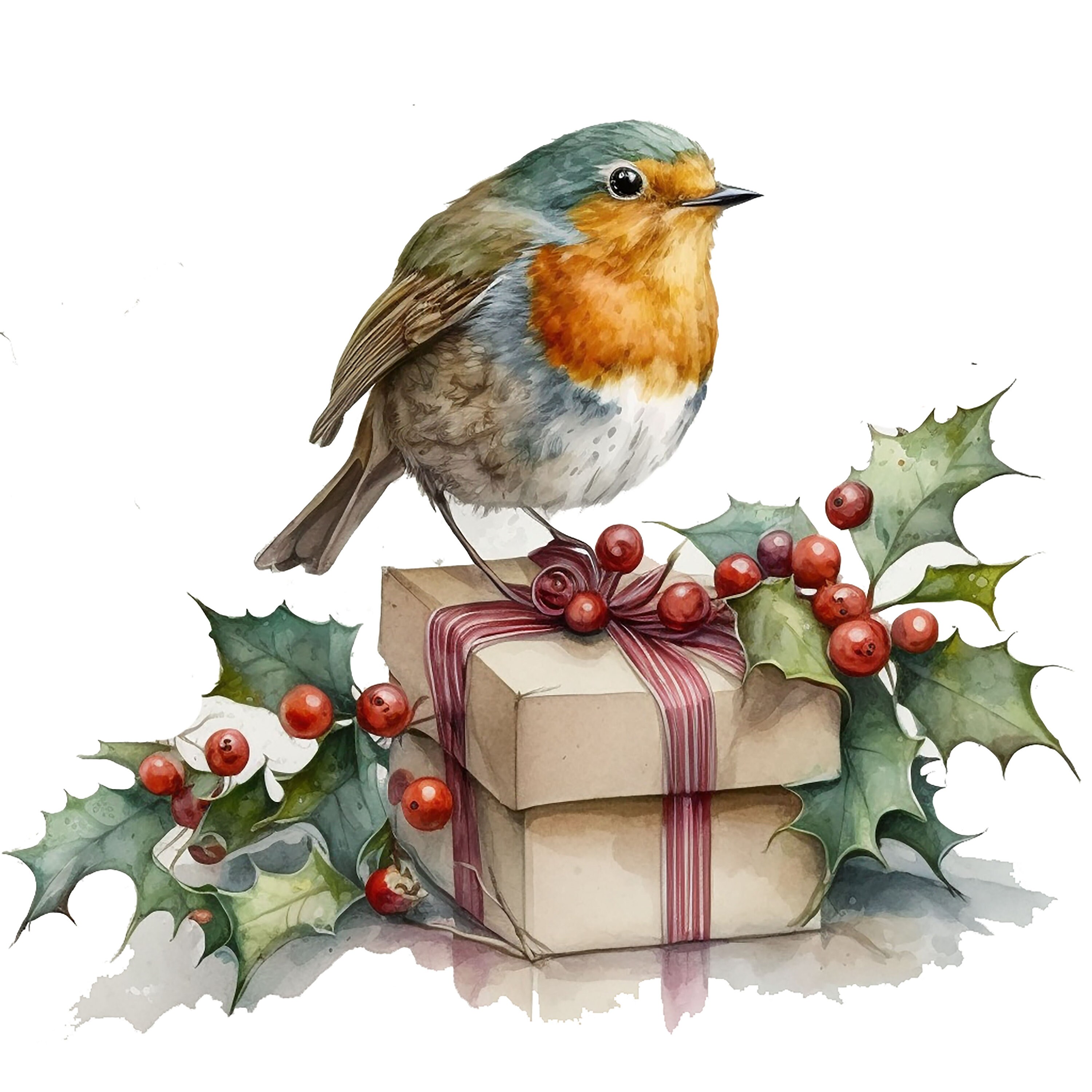 10 Robin Clipart Christmas Robin Clipart Red Robin Clipart - Etsy UK